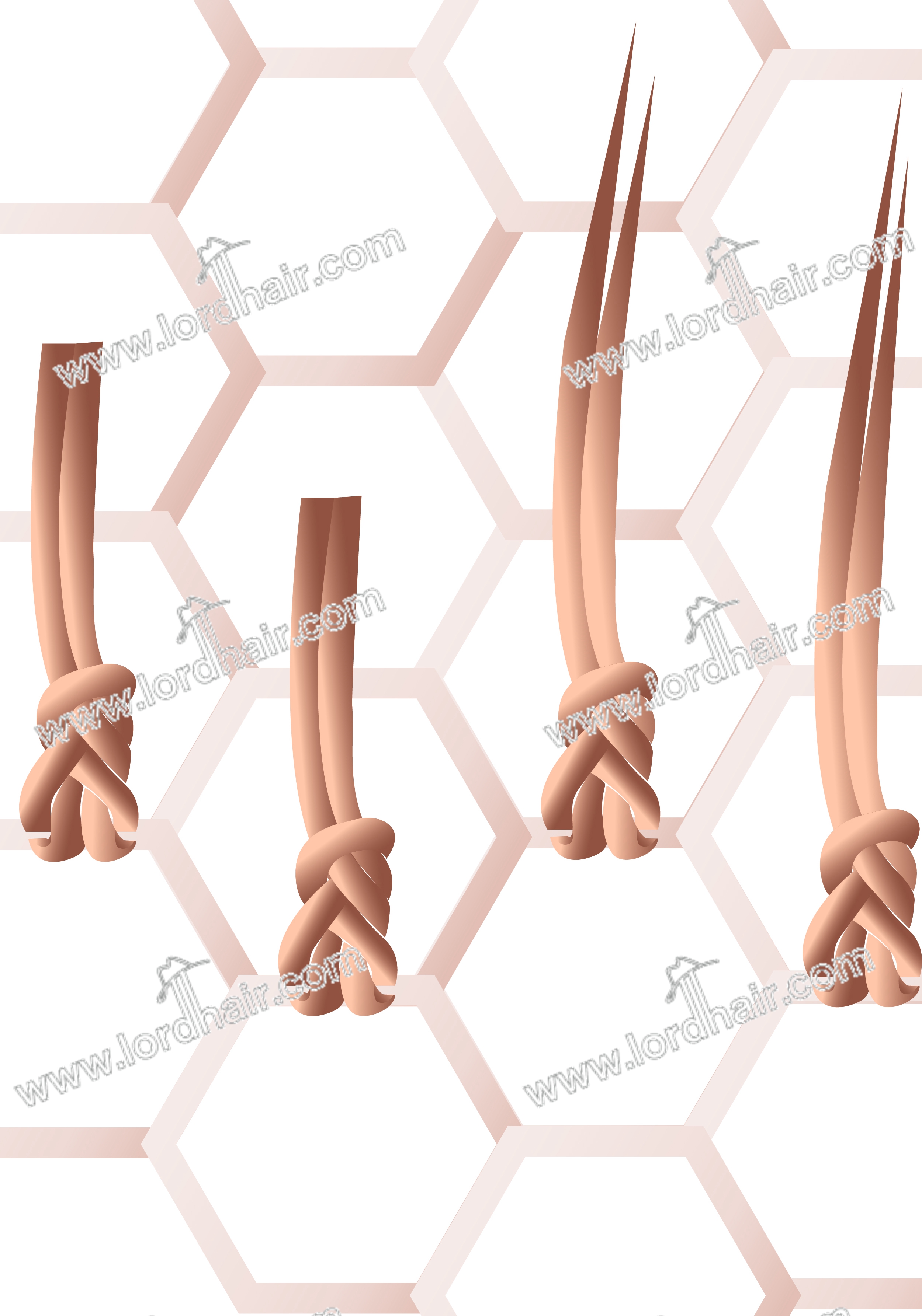 Different Types of Knots Used in Hair Systems - Lordhair