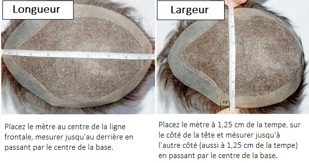 Option des tailles des bases Lordhair